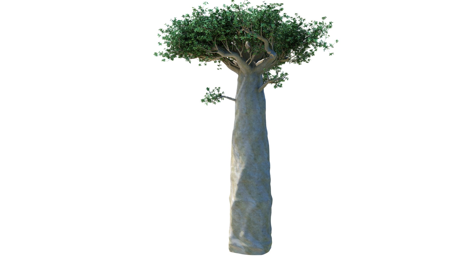 3D All In One Plant Pack Tree Vol5 - TurboSquid 2334810