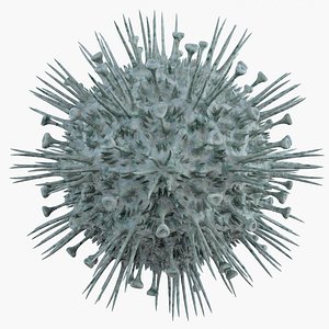 Max Micro Object Mht