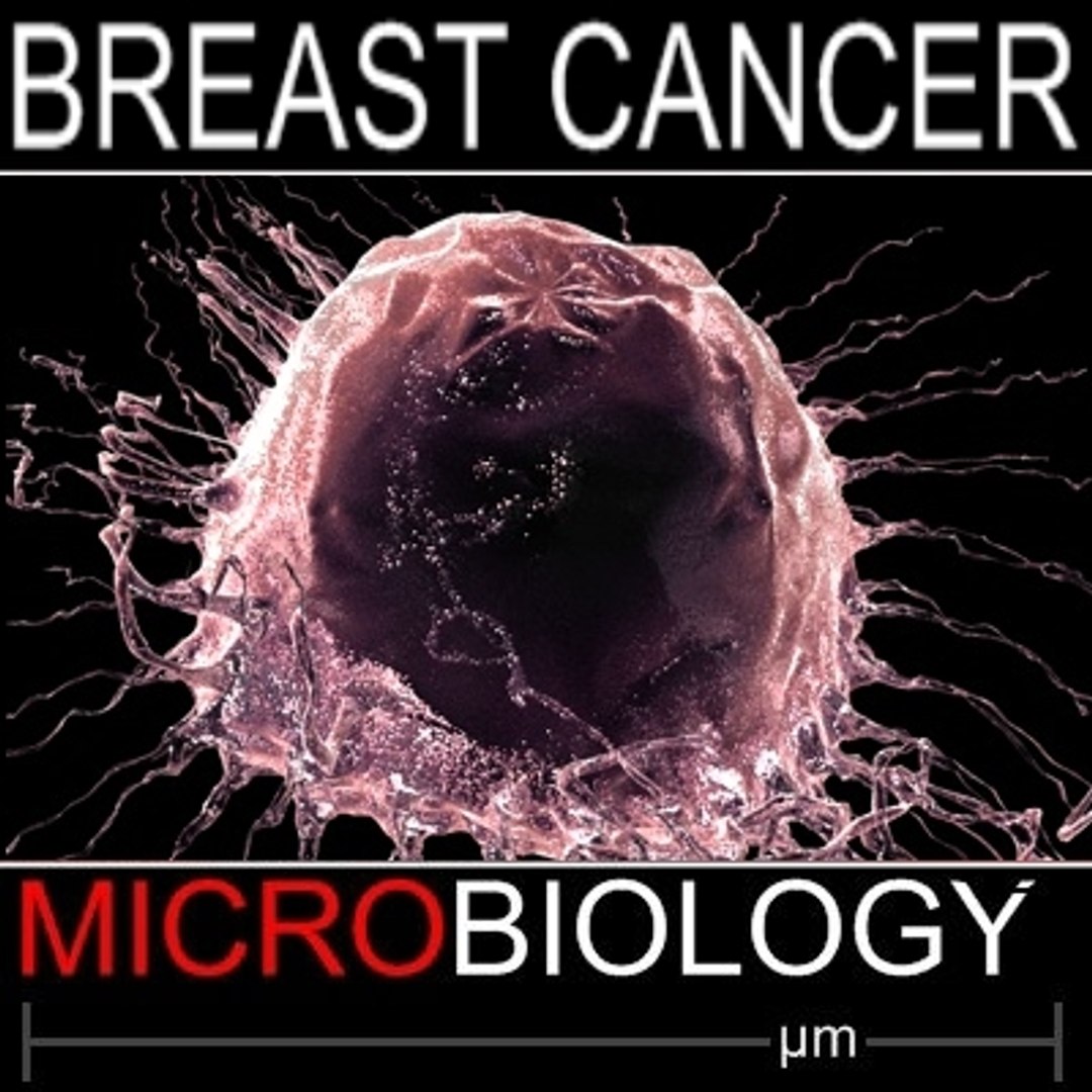 Breast Cancer Cell 3d C4d