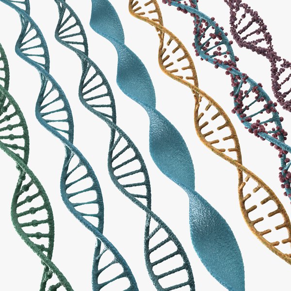 DNA 3D Models for Download | TurboSquid