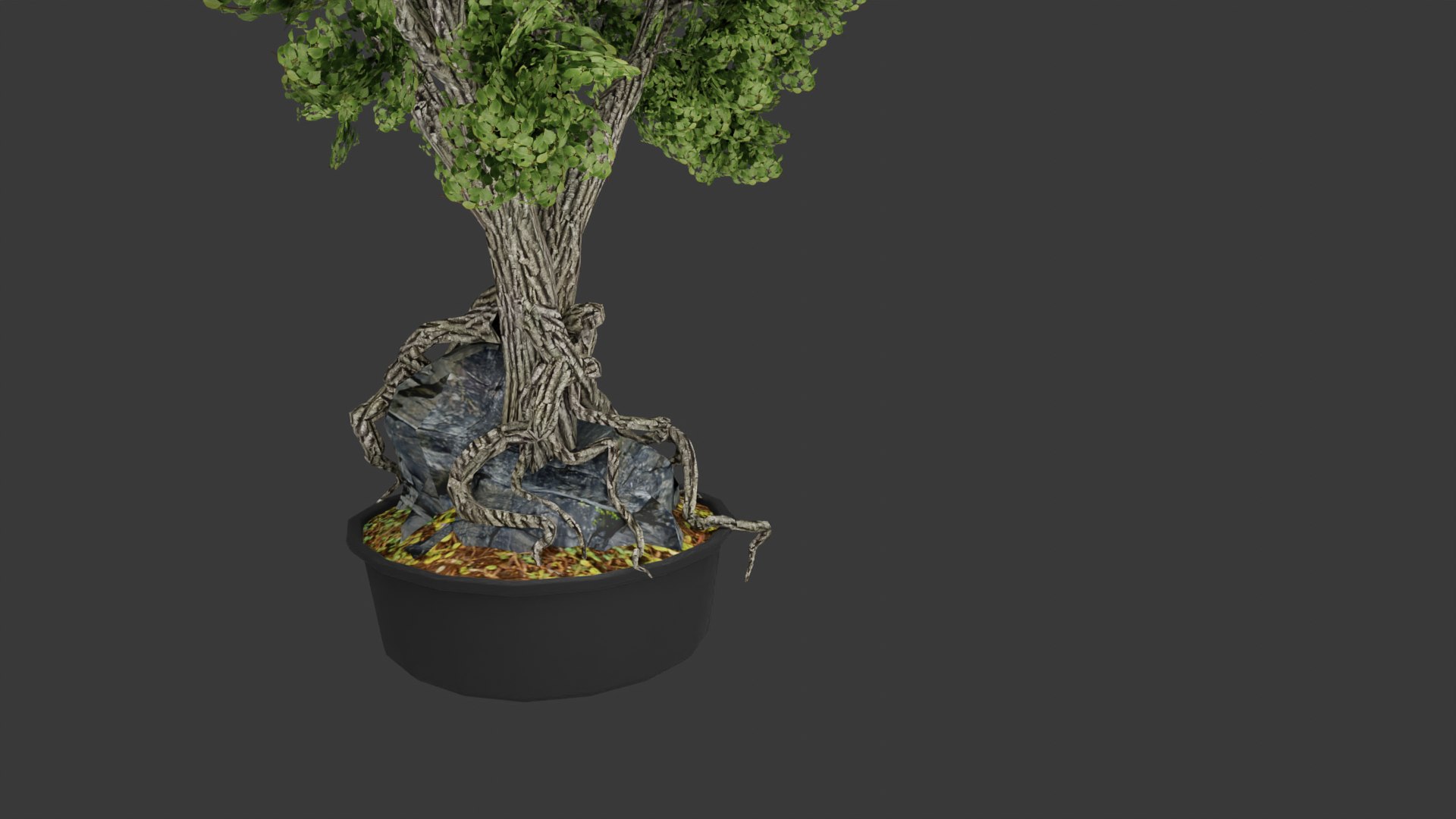 Bonsai Tree Model - TurboSquid 1669802
