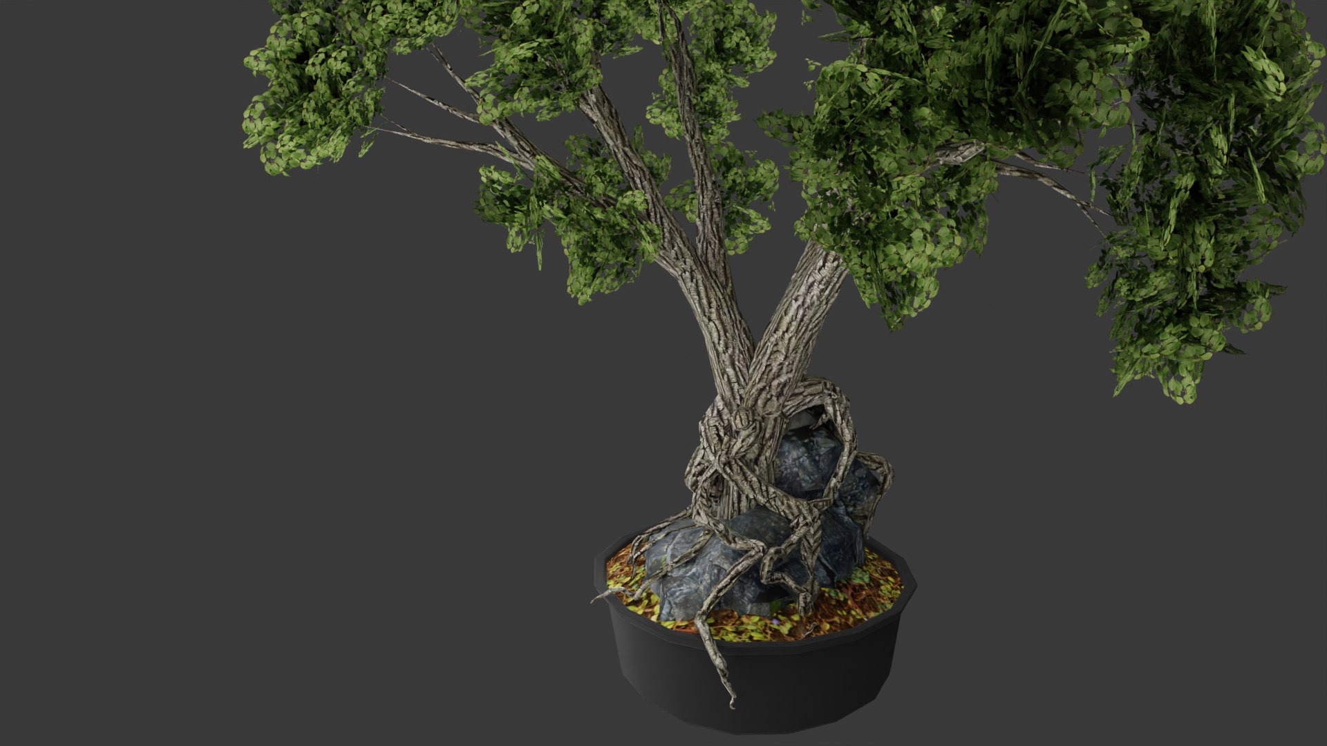 Bonsai Tree Model - TurboSquid 1669802