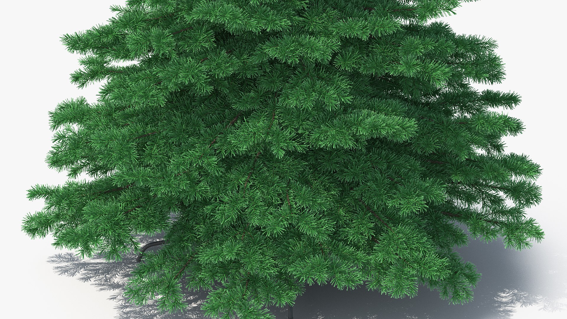 3D Woodland Pine - TurboSquid 1464225