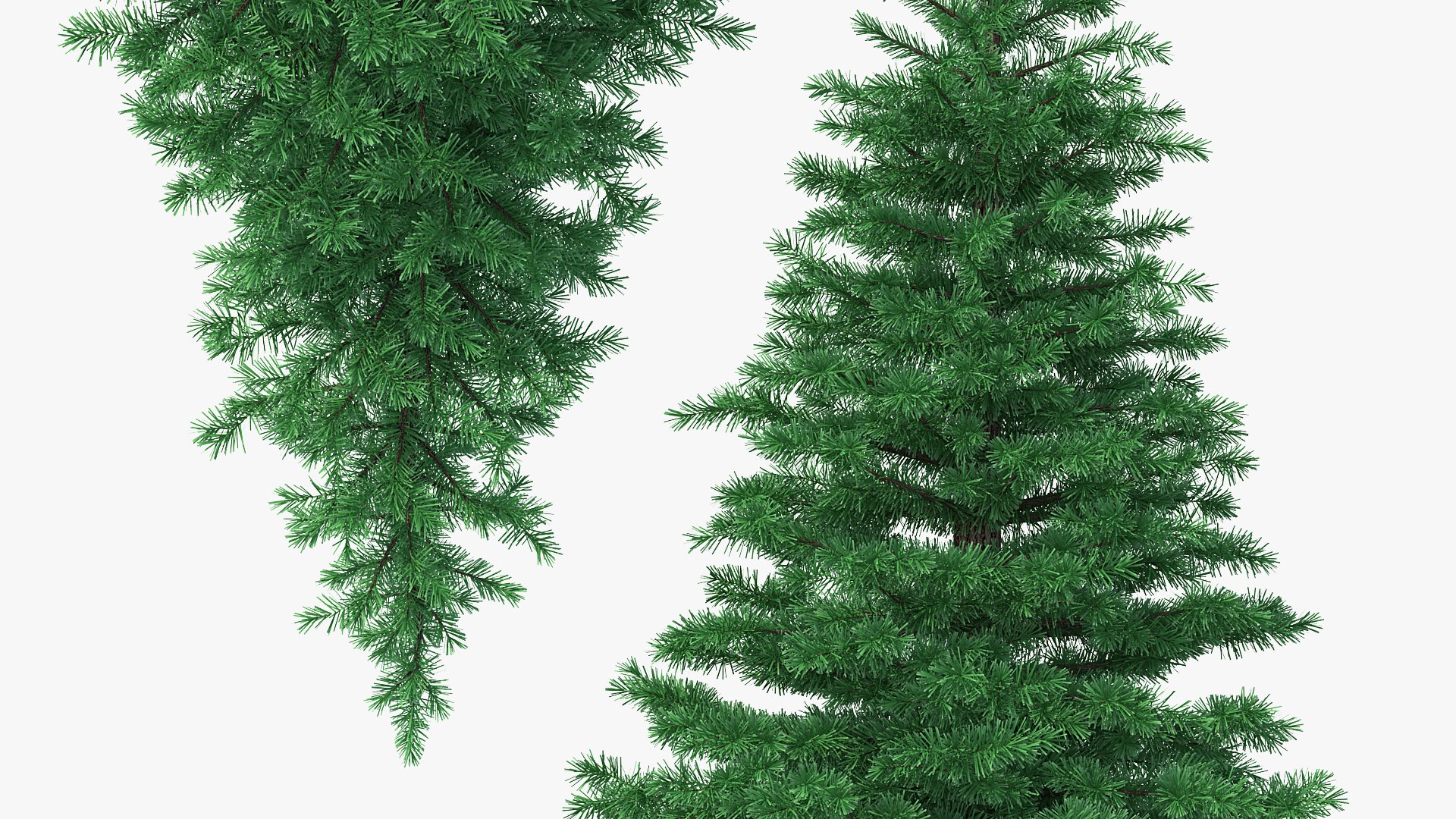 3D Woodland Pine - TurboSquid 1464225