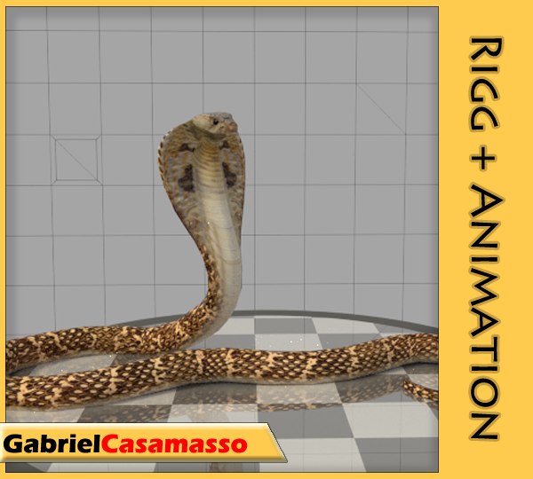 snake rattlesnake 3d model