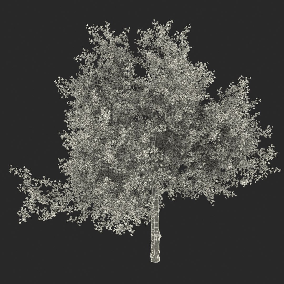 cherry tree 3d c4d