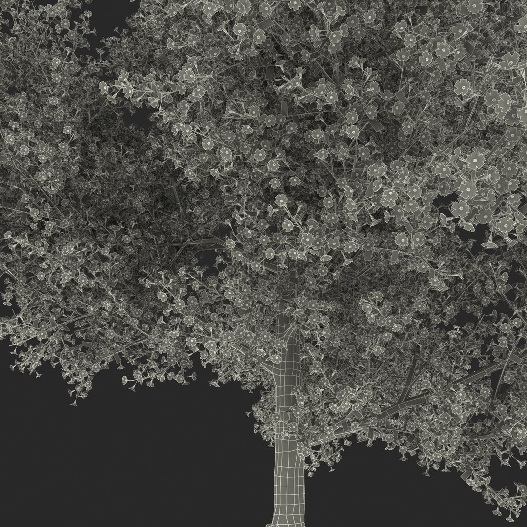 cherry tree 3d c4d