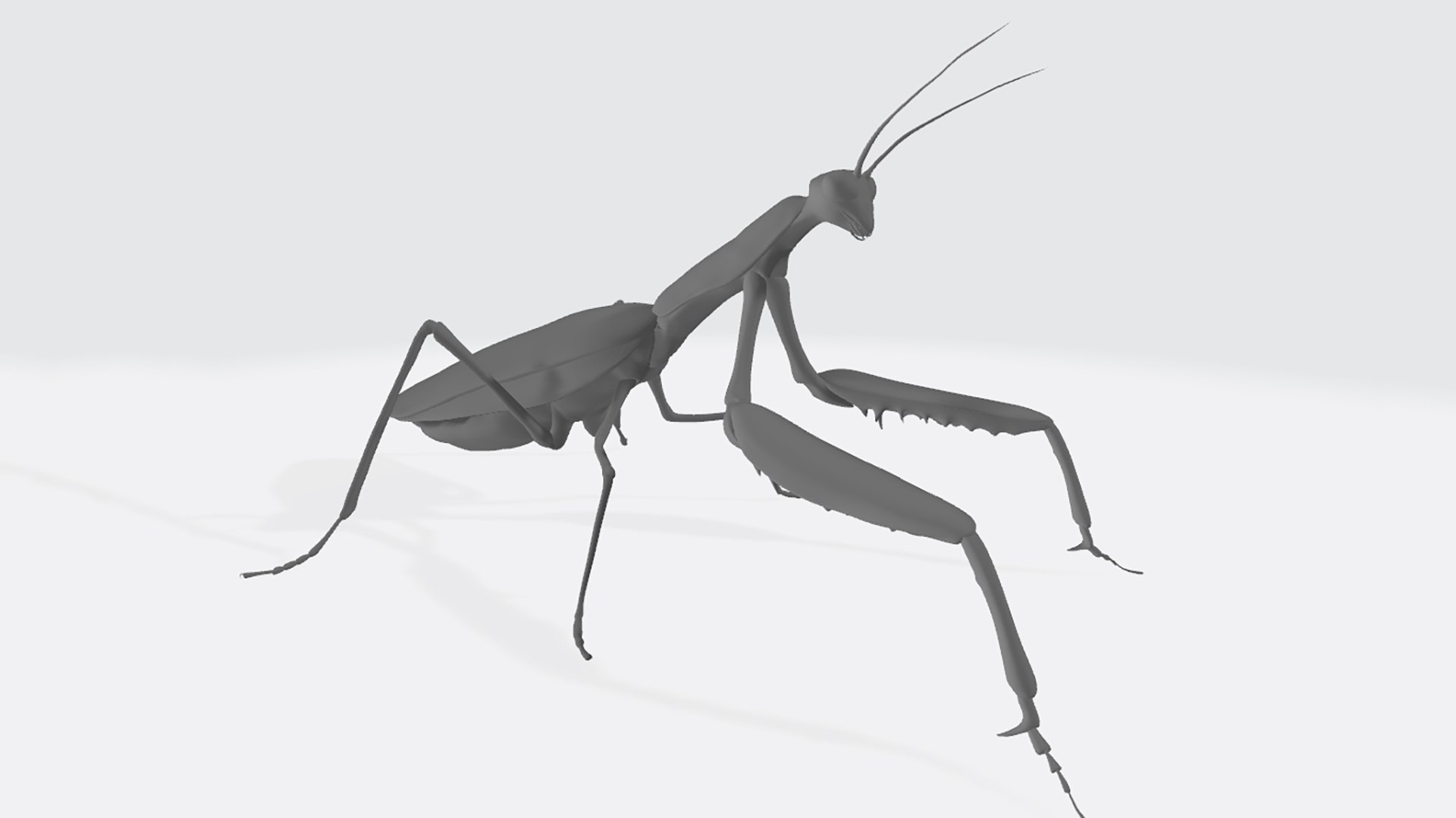 3D Praying Mantis Animal 3D Model Ready To Print - TurboSquid 2285244