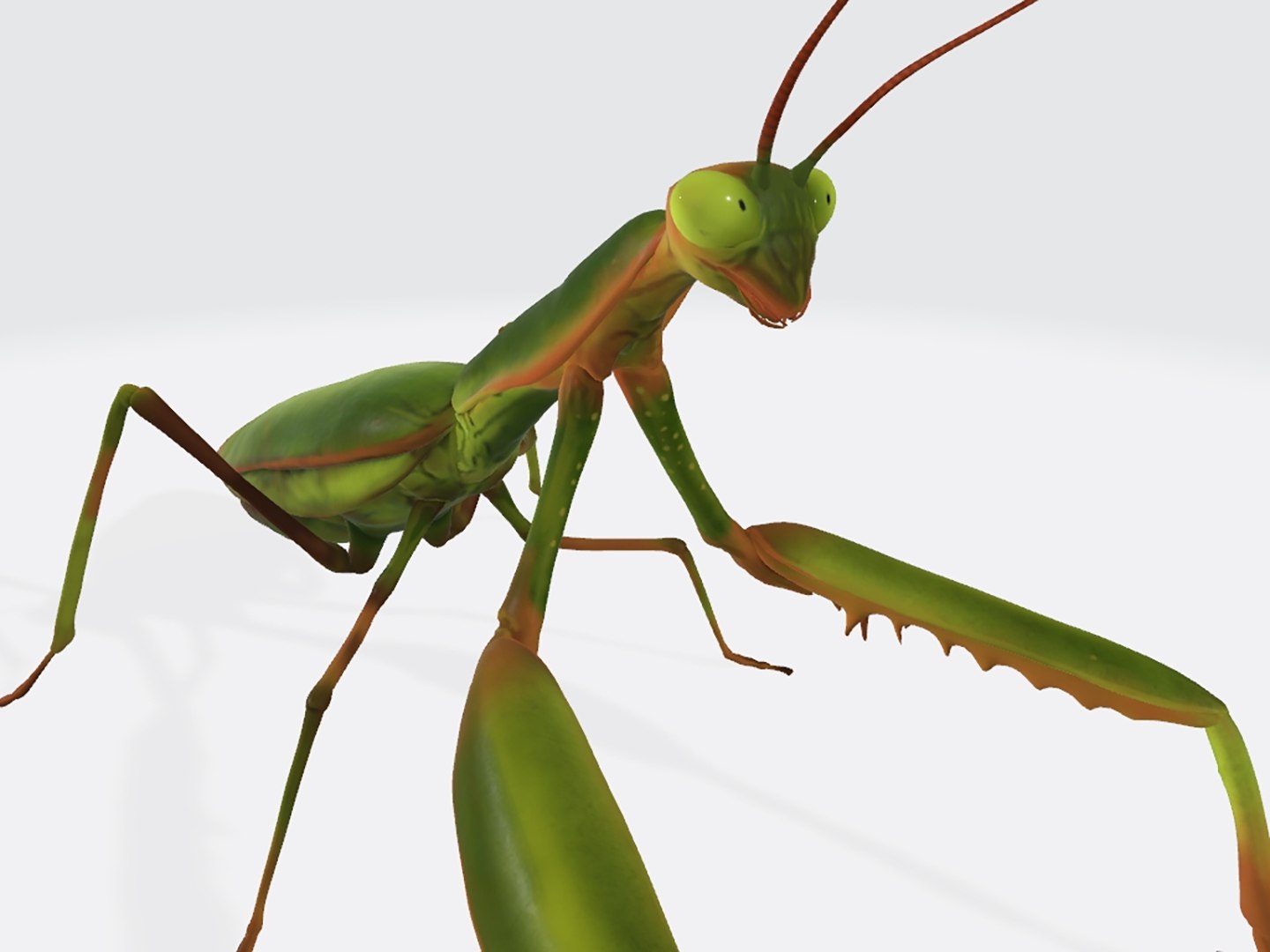 3D Praying Mantis Animal 3D Model Ready To Print - TurboSquid 2285244