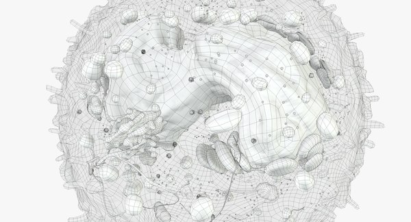 3D white blood cells basophil - TurboSquid 1270552