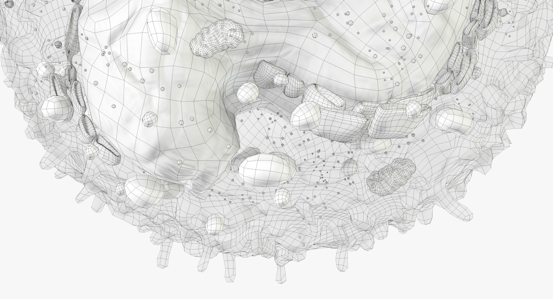 3D White Blood Cells Basophil - TurboSquid 1270552