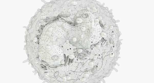 3D white blood cells basophil - TurboSquid 1270552