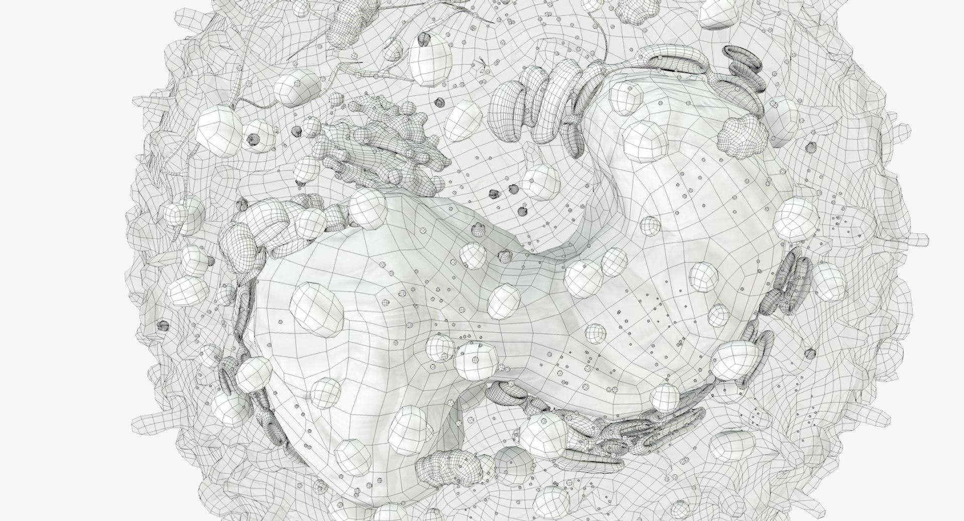 3D White Blood Cells Basophil - TurboSquid 1270552
