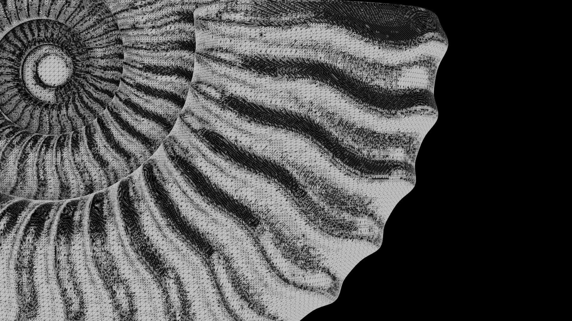 Ammonoid Shell With Sinuous Ribs 3D - TurboSquid 2292653