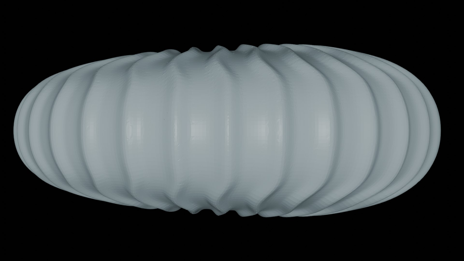Ammonoid Shell With Sinuous Ribs 3D - TurboSquid 2292653