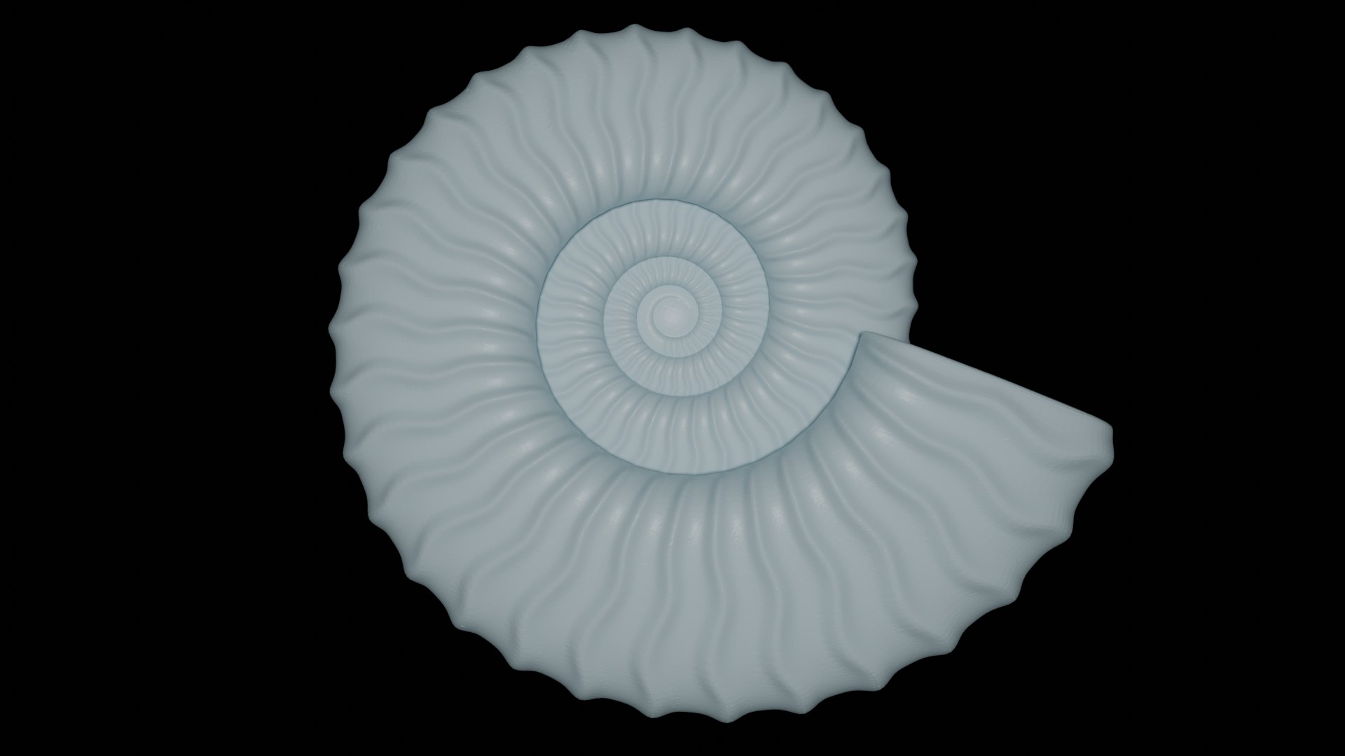 Ammonoid Shell With Sinuous Ribs 3D - TurboSquid 2292653