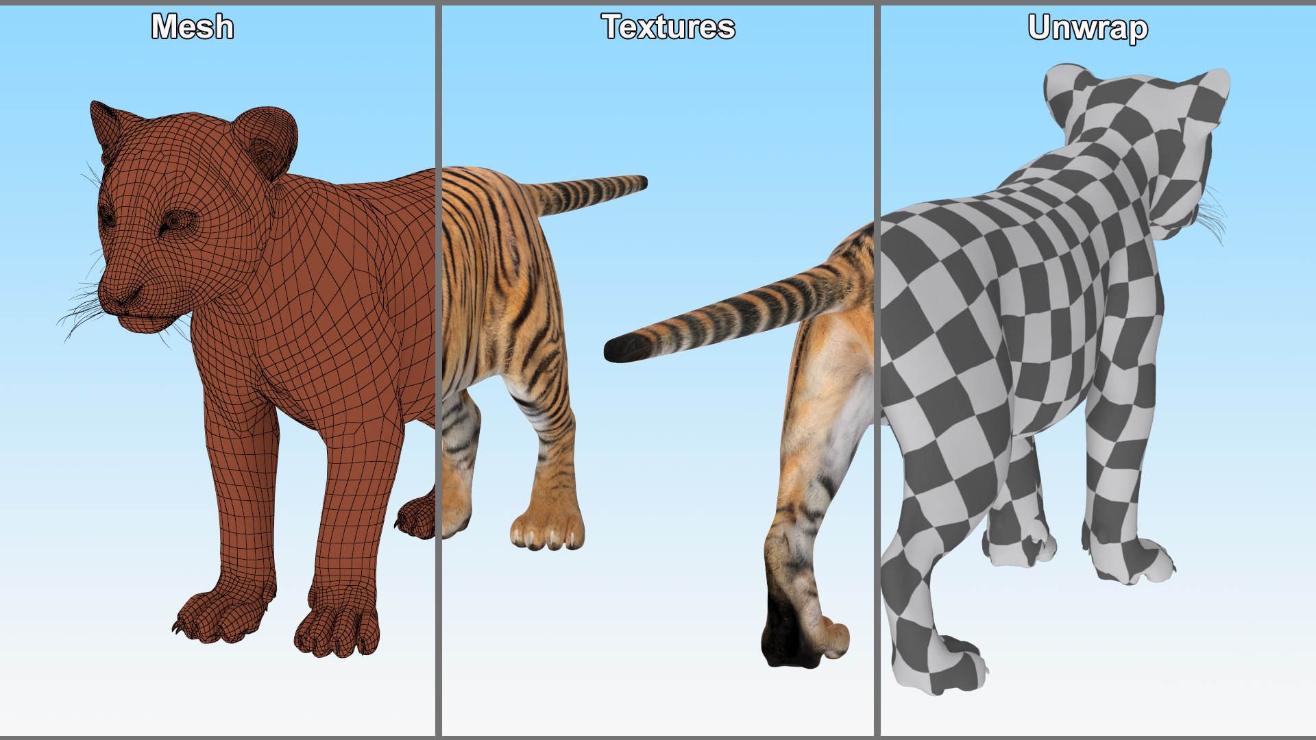 3D Tiger Cub - TurboSquid 2341180