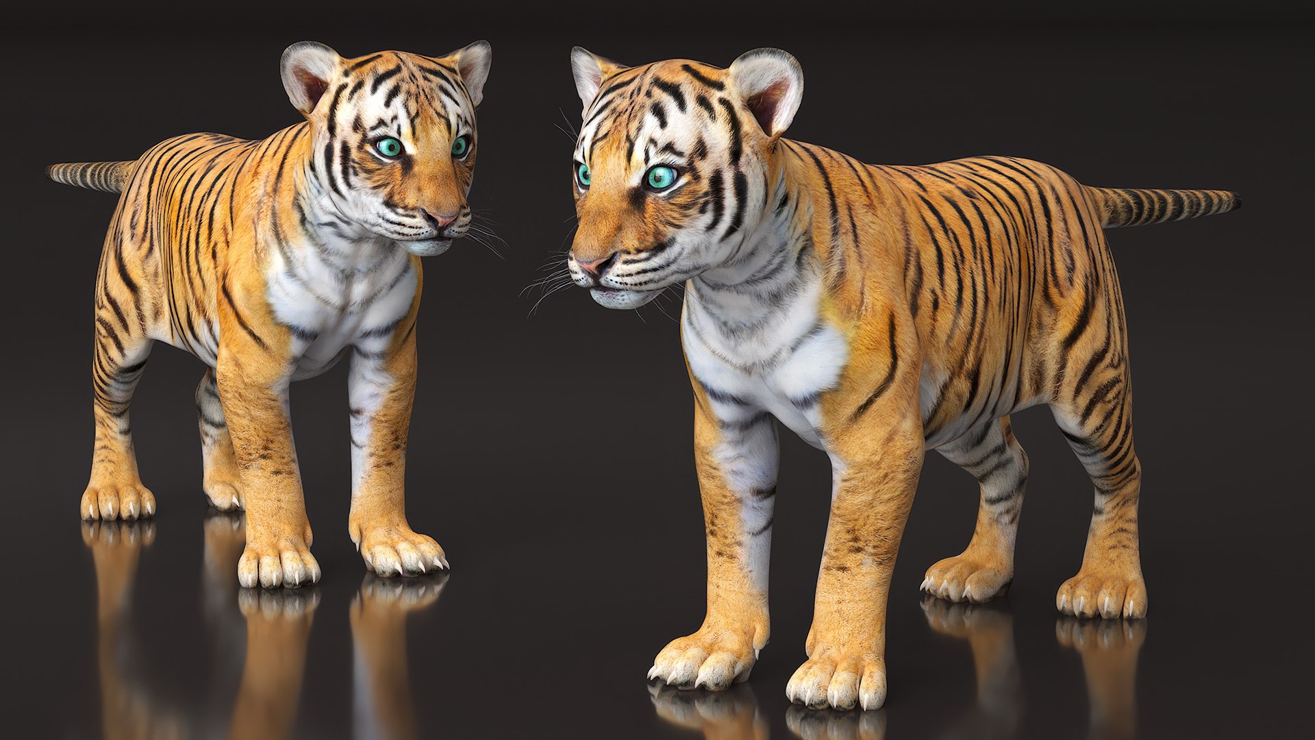 3D Tiger Cub - TurboSquid 2341180