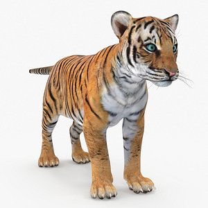 3D Tiger Models - Browse & Download Formats - TurboSquid