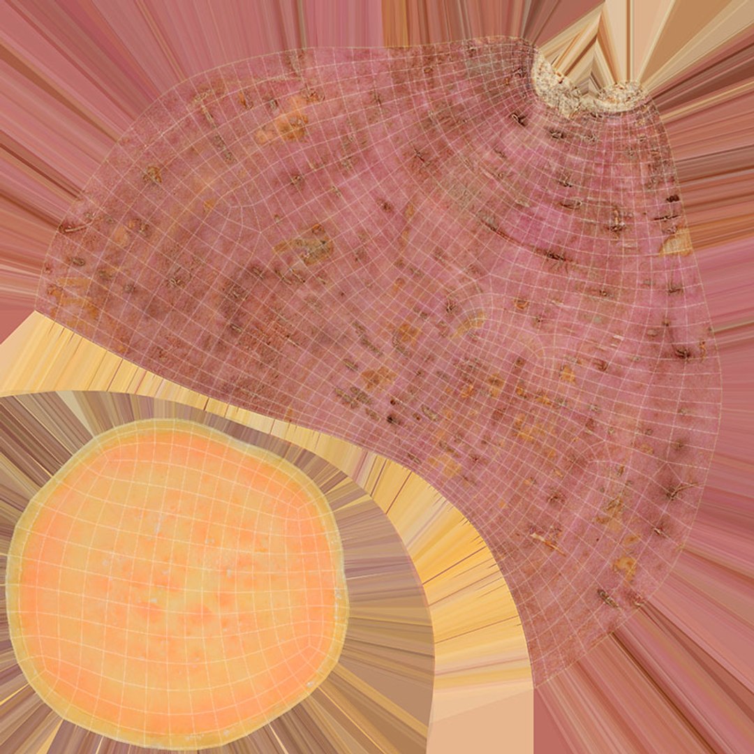 3D Model Sweet Potato 05 Collection - TurboSquid 2116808