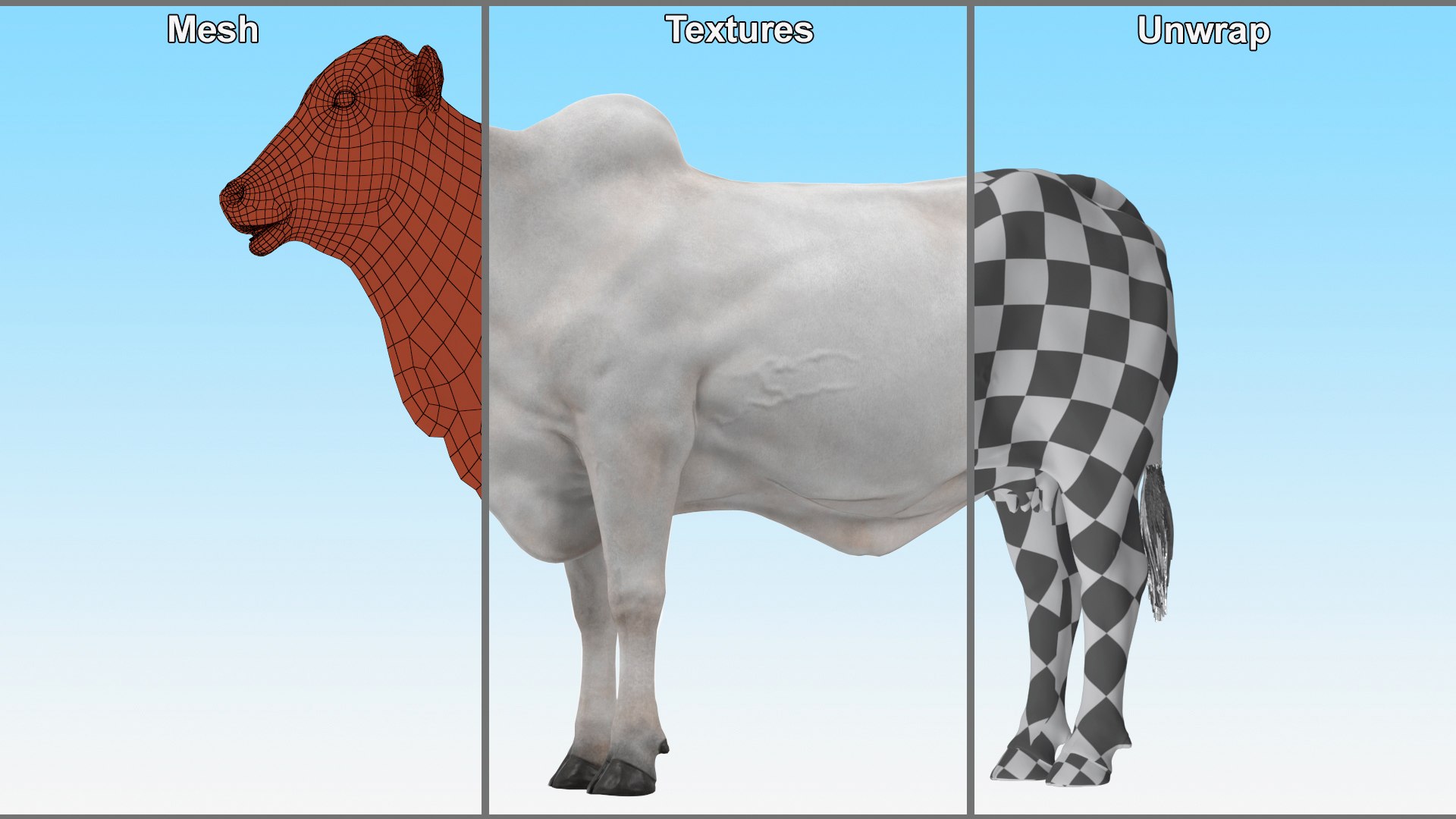 3D Nelore Cow Female Fur Model - TurboSquid 2318322