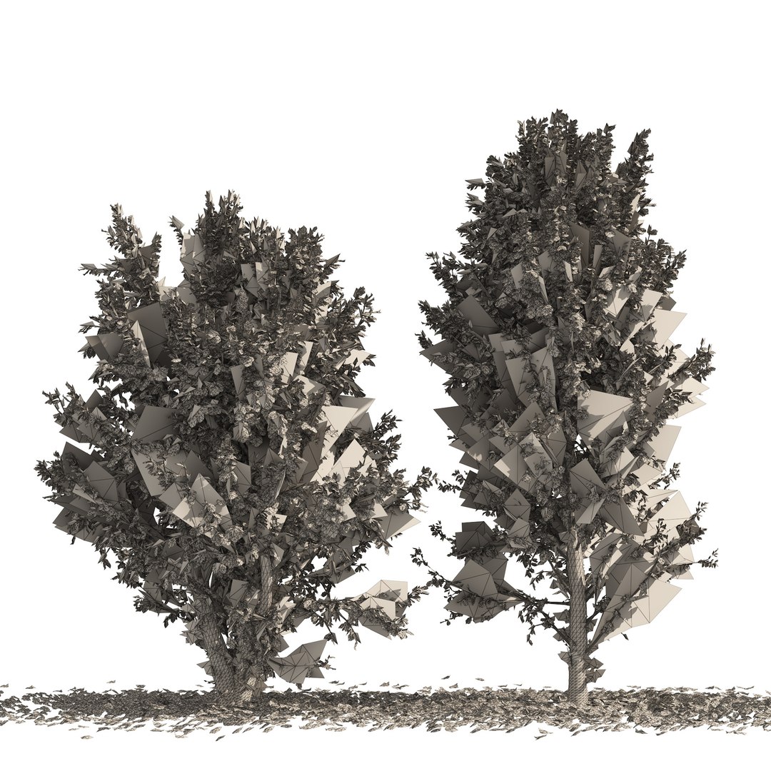 3D Fall Paper Birch Trees - TurboSquid 1967033