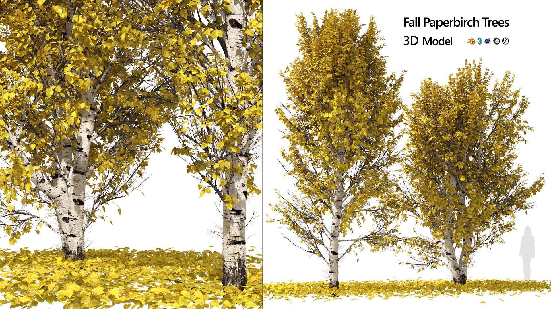 3D Fall Paper Birch Trees - TurboSquid 1967033