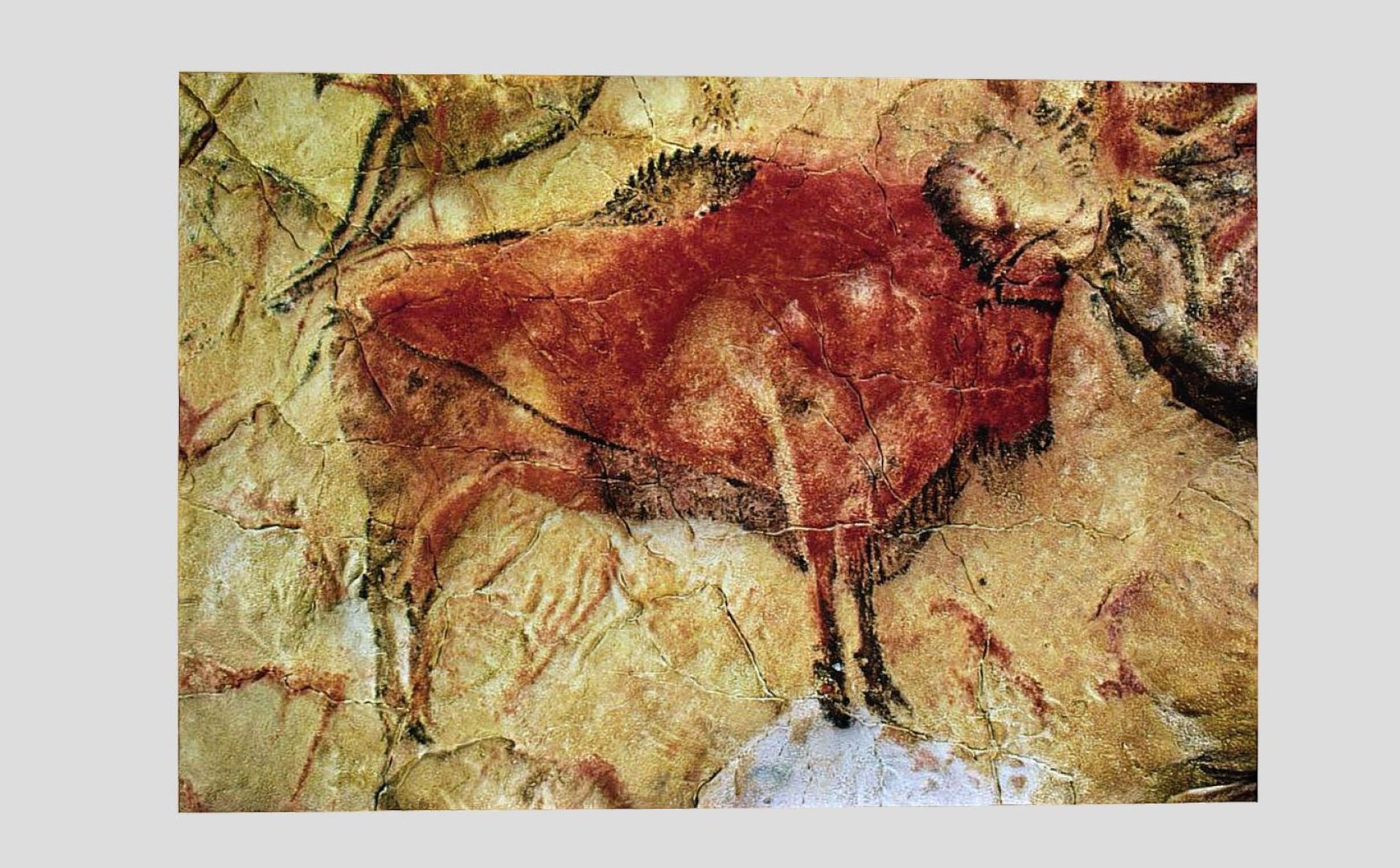 3D Model Paleolithic Art-Altamira Cave-prehistory - TurboSquid 1850861