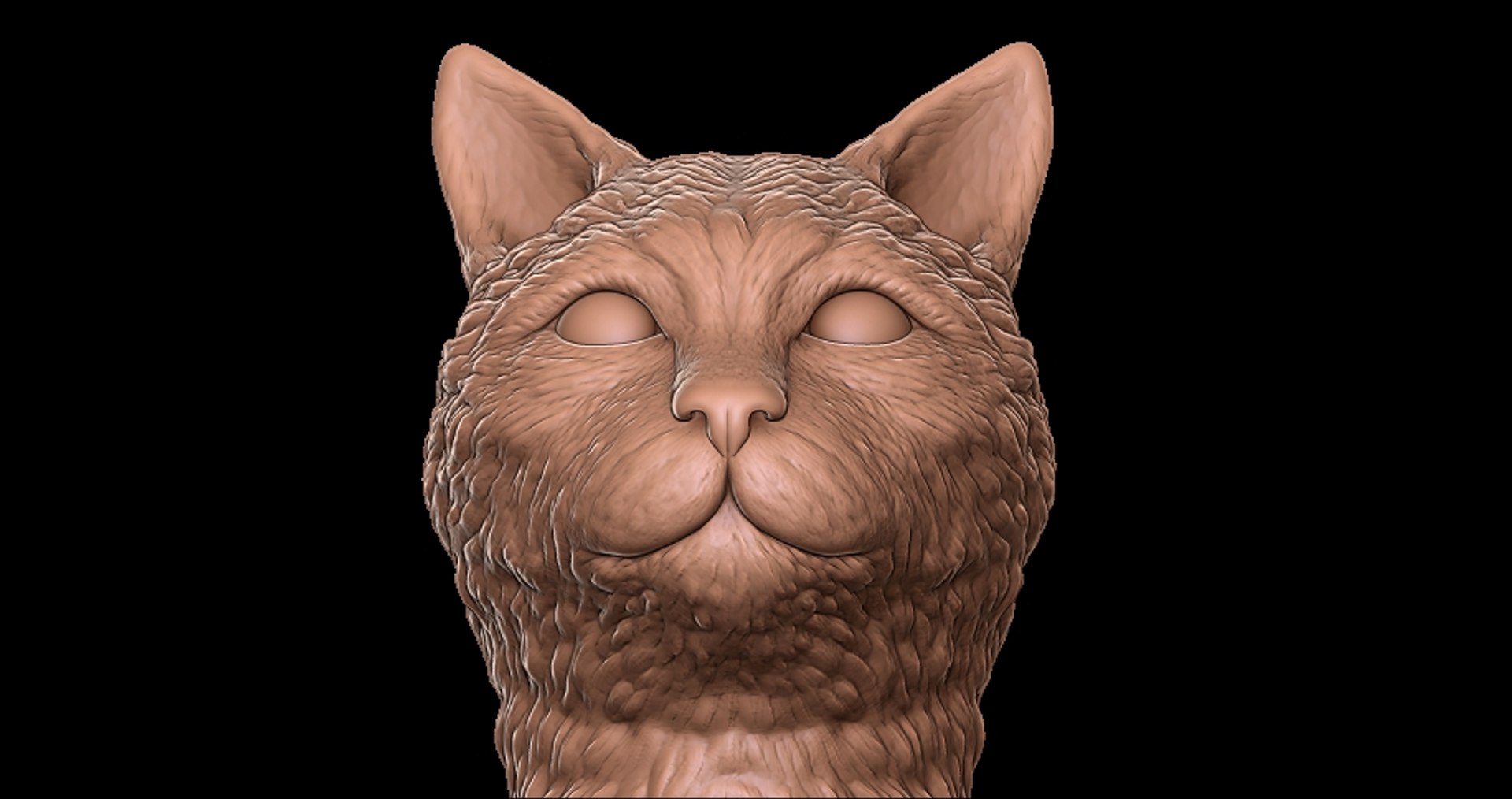 3D Model Cat Head - TurboSquid 1584537