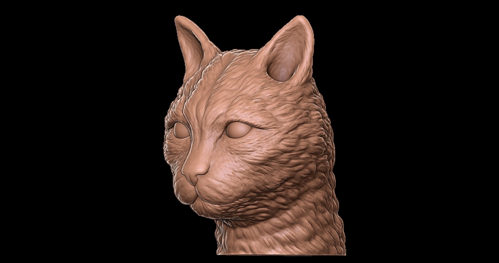 3D Model Cat Head - TurboSquid 1584537