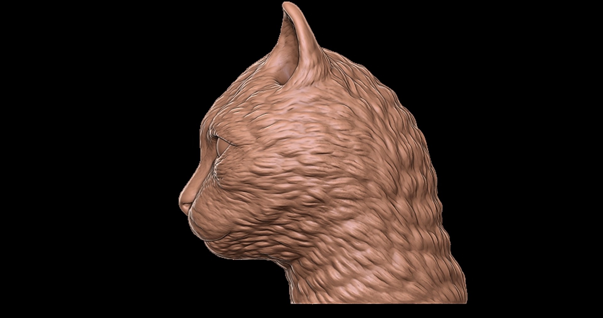 3D Model Cat Head - TurboSquid 1584537