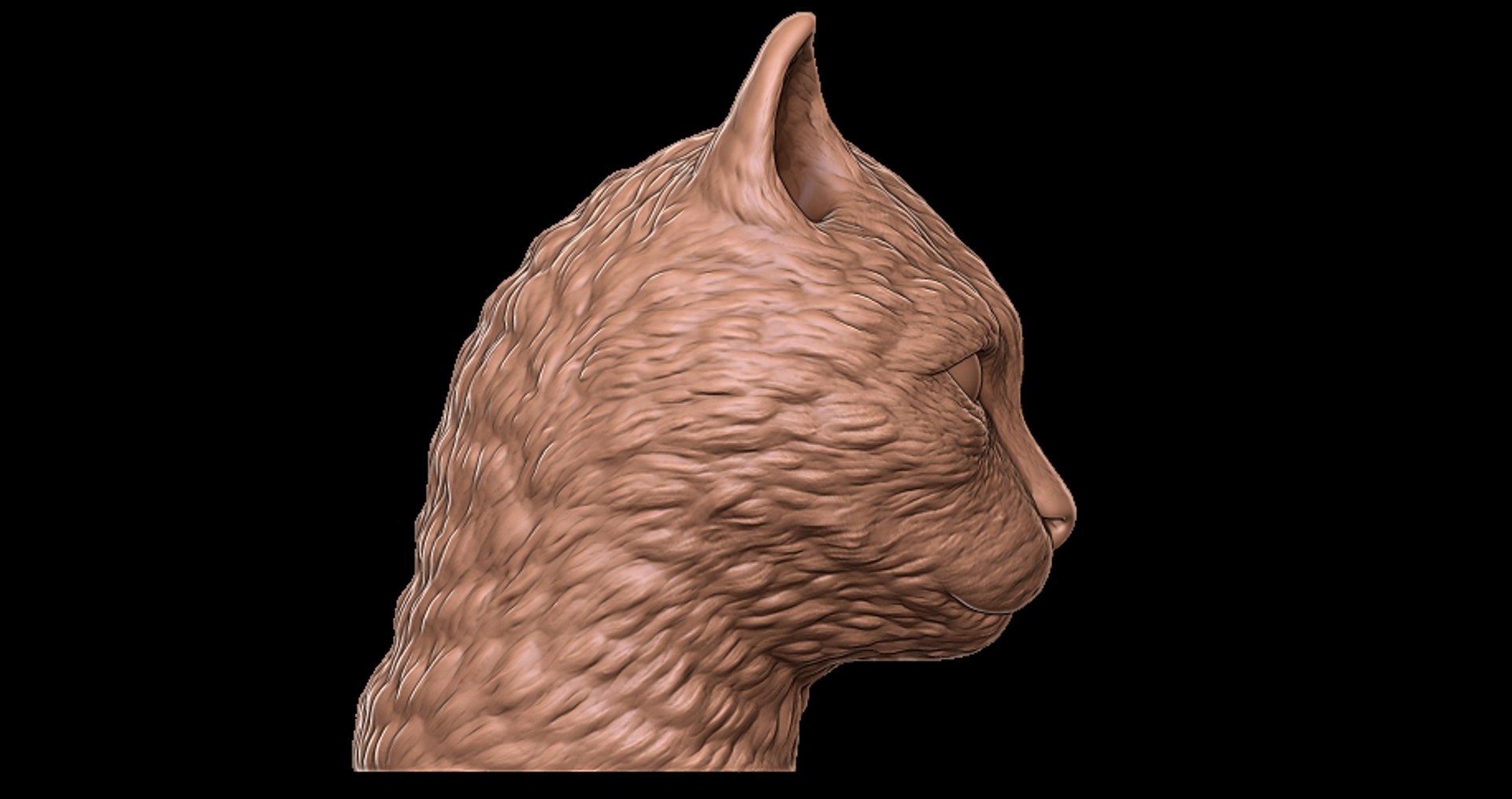 3D Model Cat Head - TurboSquid 1584537