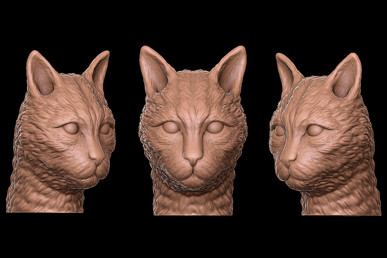 3D model cat head - TurboSquid 1584537