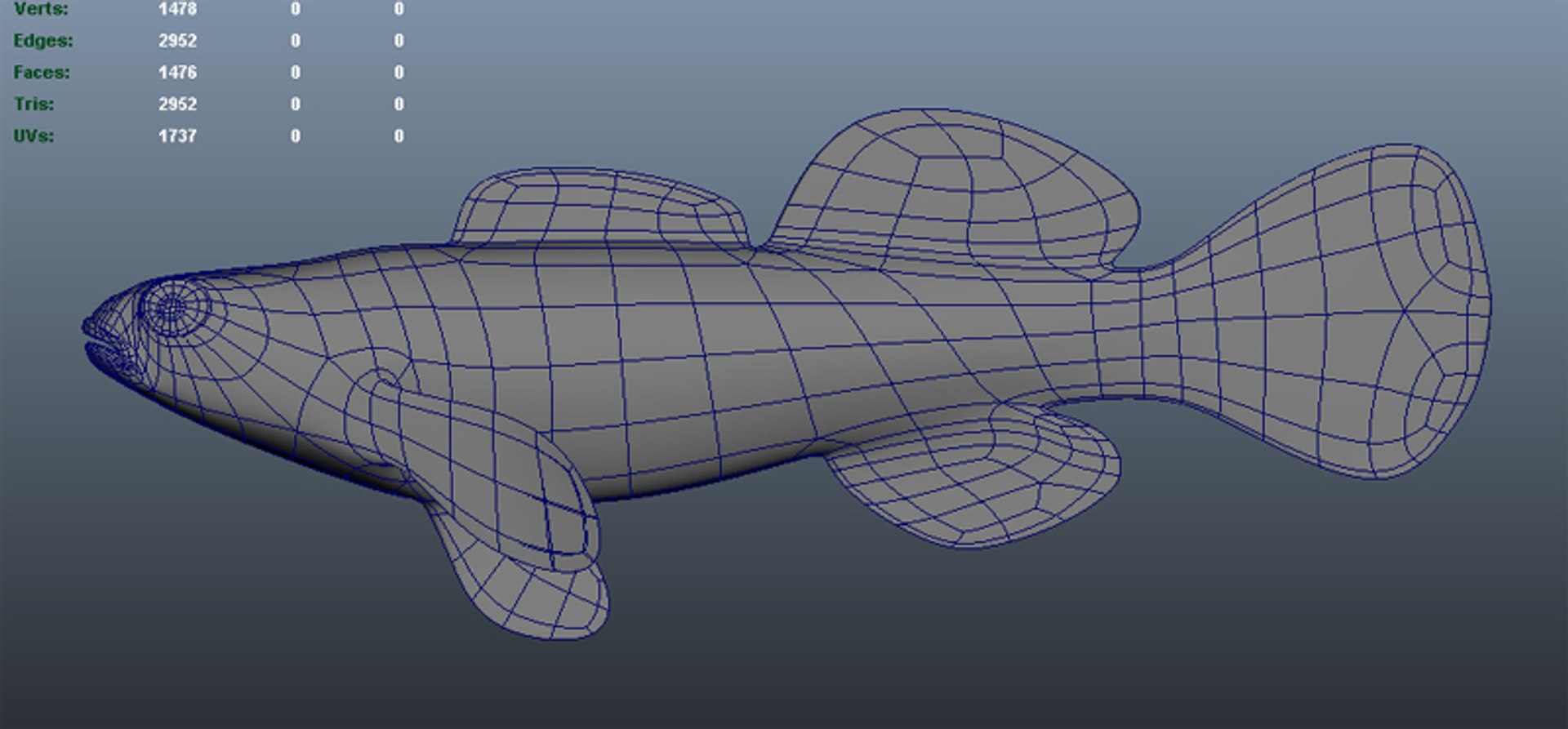 Etheostoma Squamiceps Spottail Darter 3d Fbx