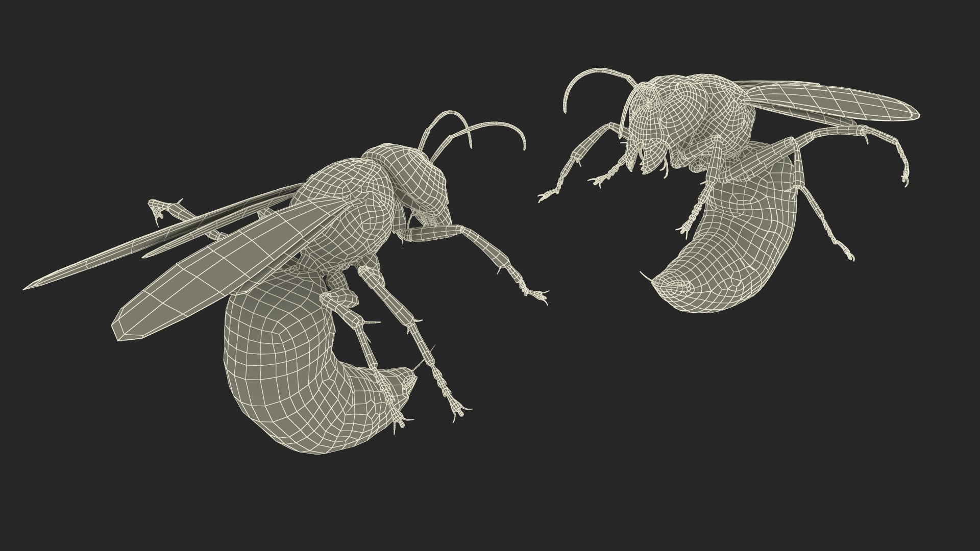 3D Northern Giant Hornet Fur Attack Pose - TurboSquid 2274947