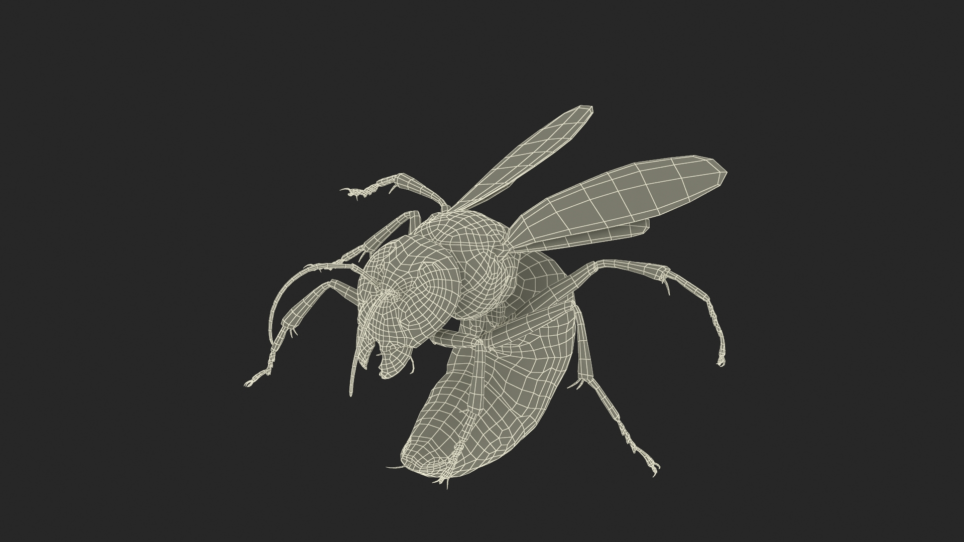 3D Northern Giant Hornet Fur Attack Pose - TurboSquid 2274947