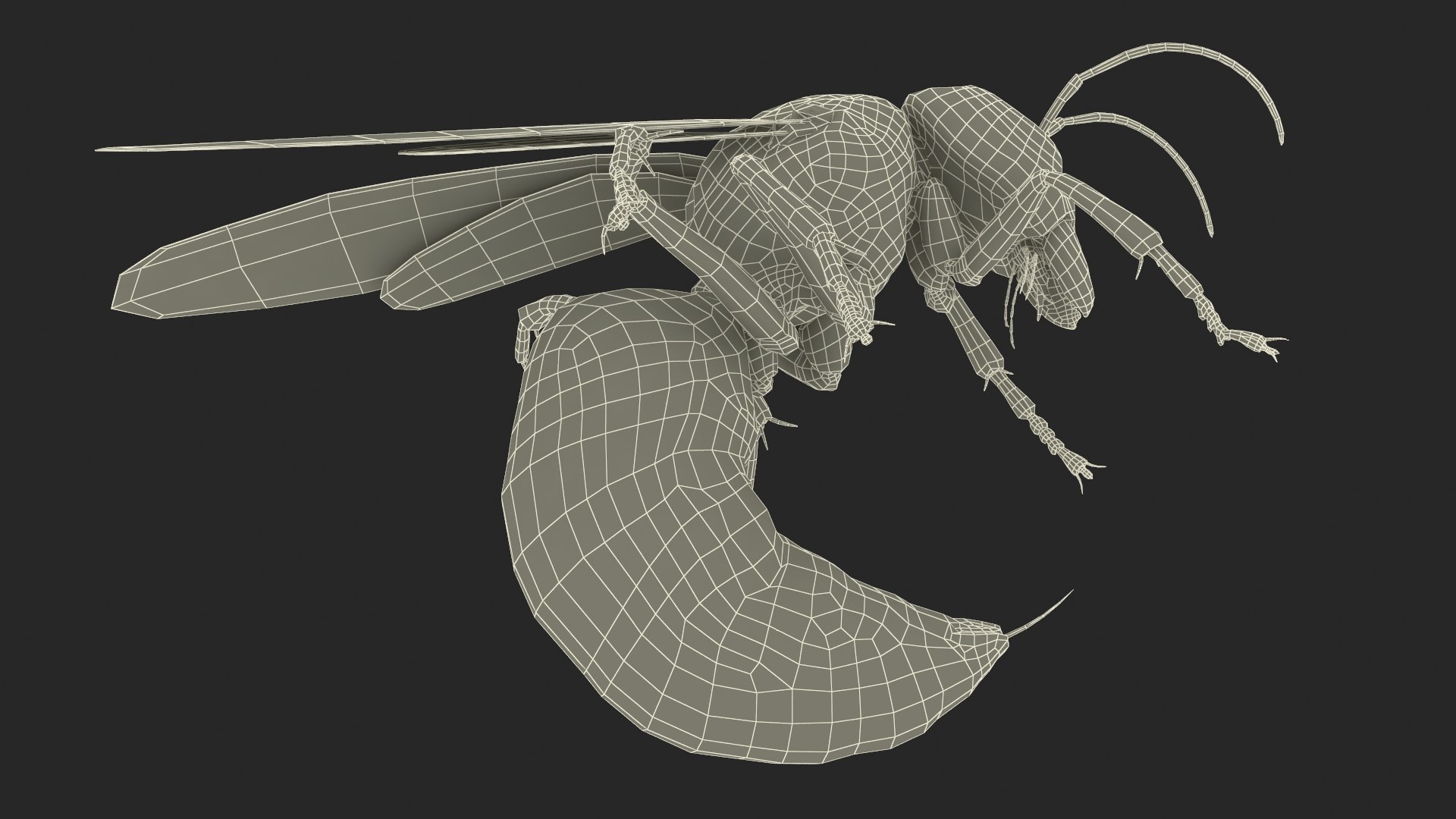 3D Northern Giant Hornet Fur Attack Pose - TurboSquid 2274947