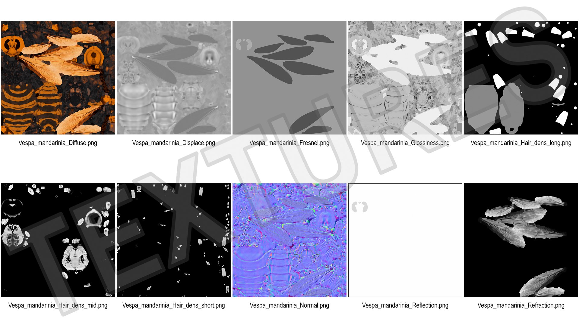 3D Northern Giant Hornet Fur Attack Pose - TurboSquid 2274947