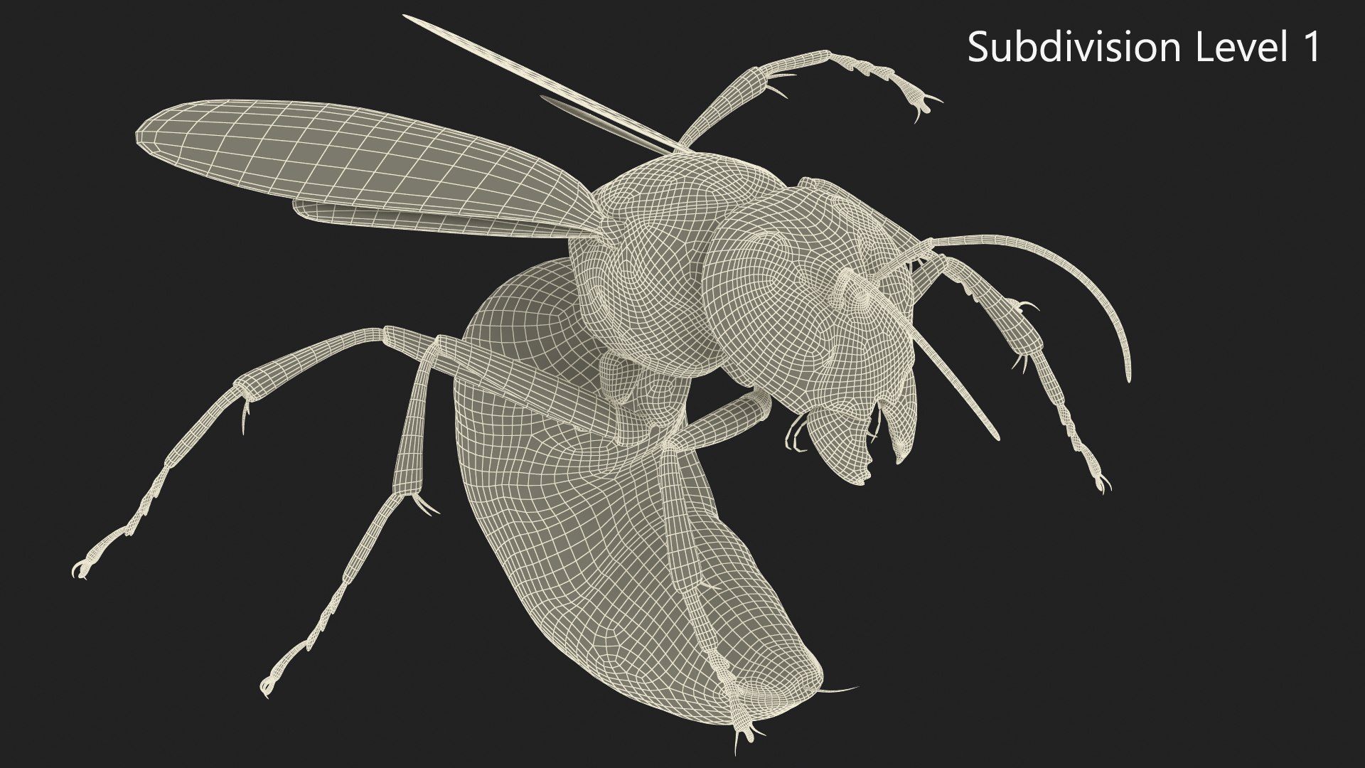 3D Northern Giant Hornet Fur Attack Pose - TurboSquid 2274947