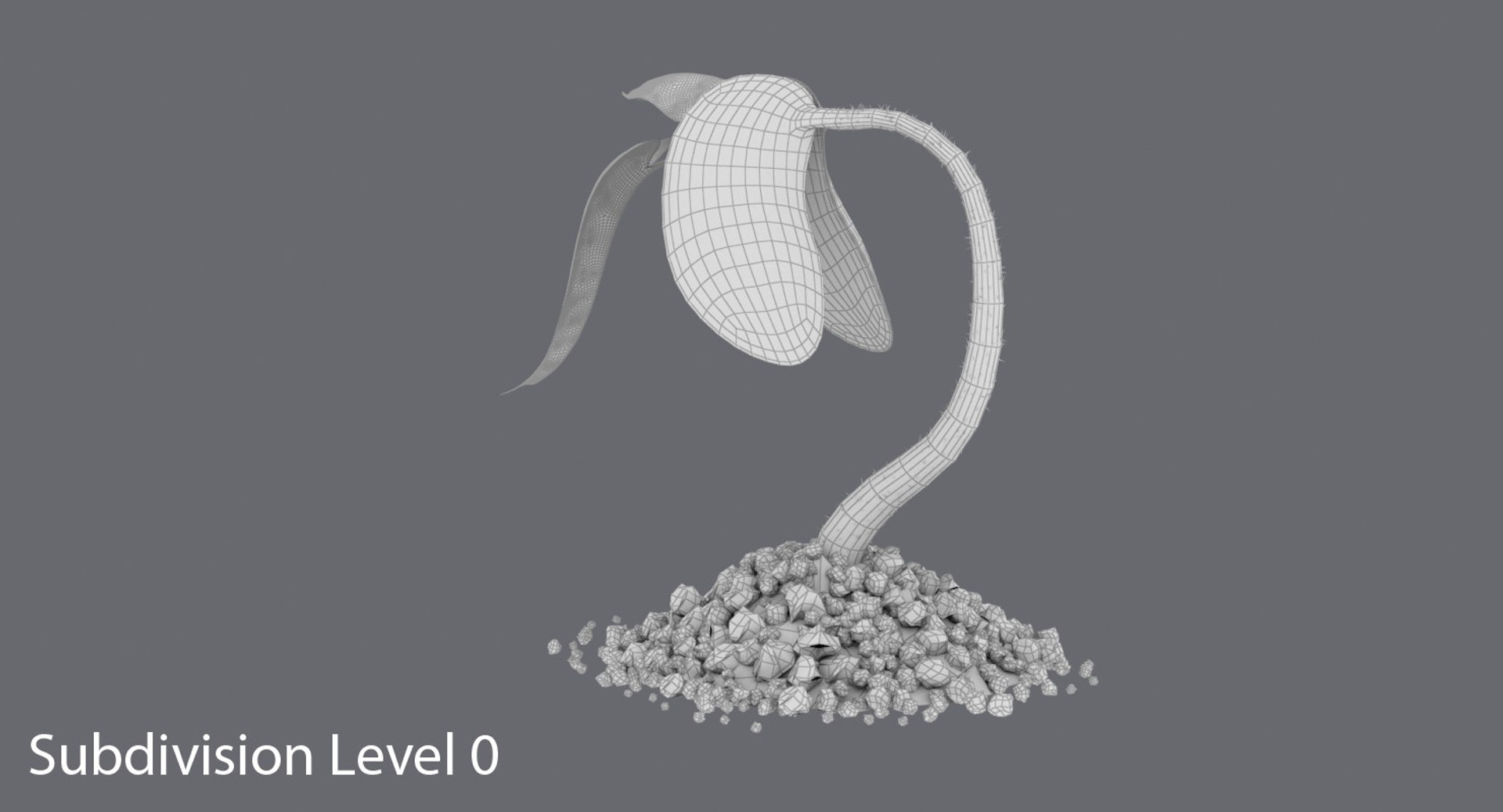 Plant Sprout 3d Model