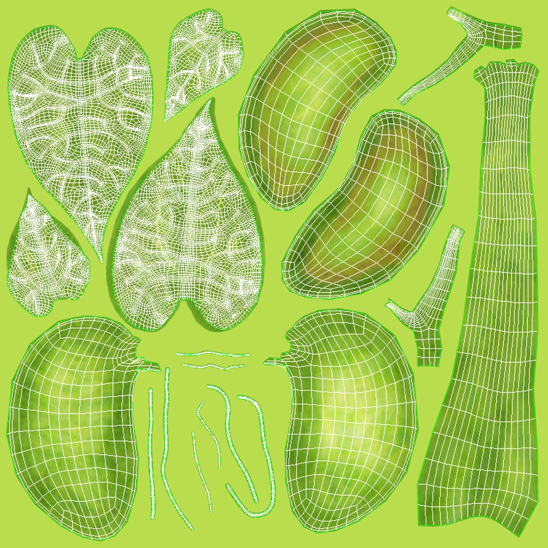 Plant Sprout 3d Model