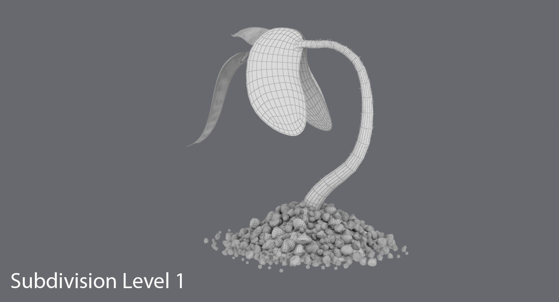 Plant Sprout 3d Model