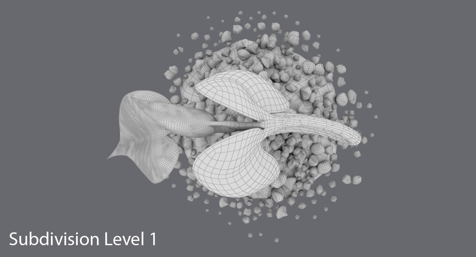 Plant Sprout 3d Model