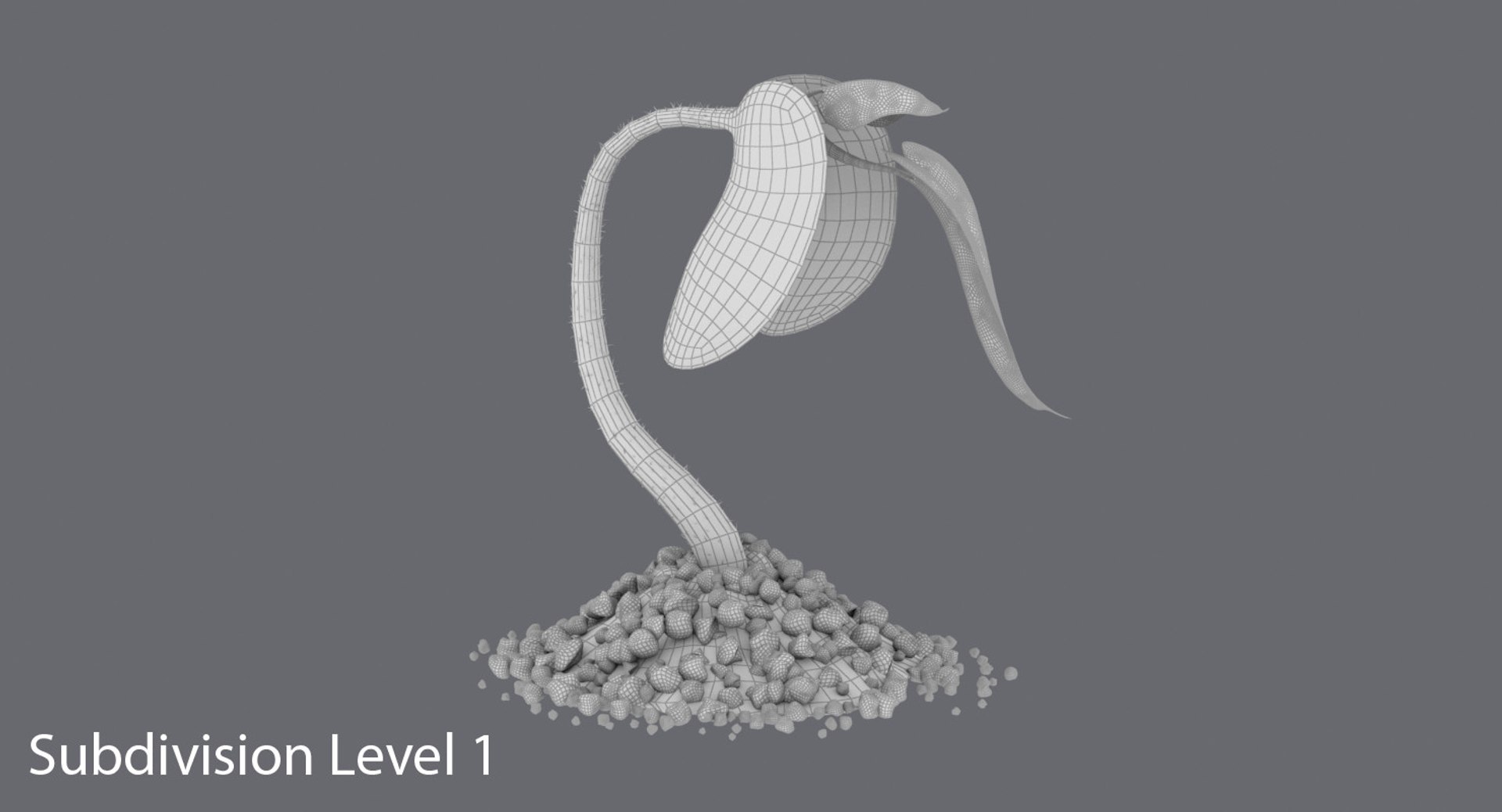 Plant Sprout 3d Model