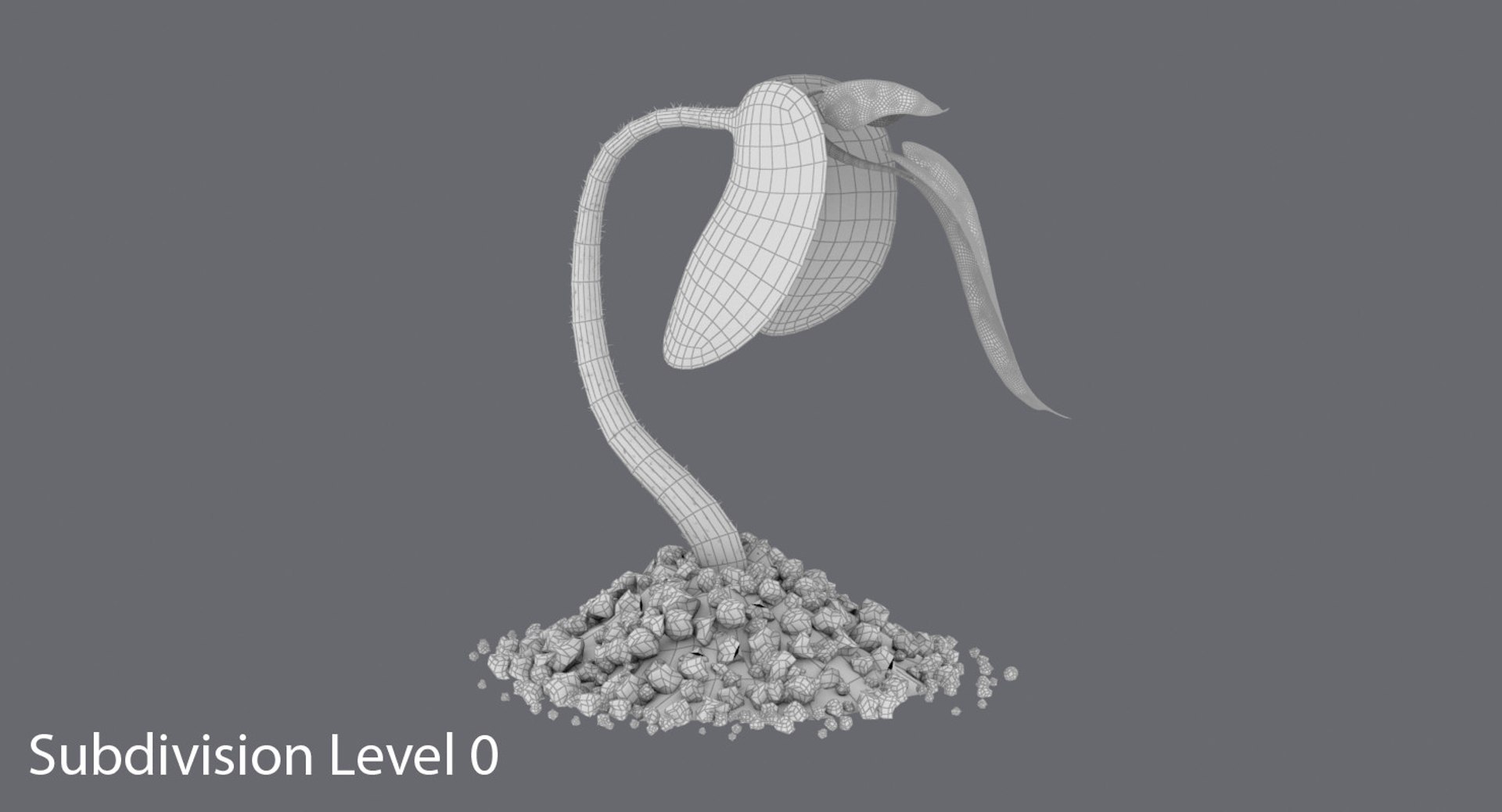 Plant Sprout 3d Model