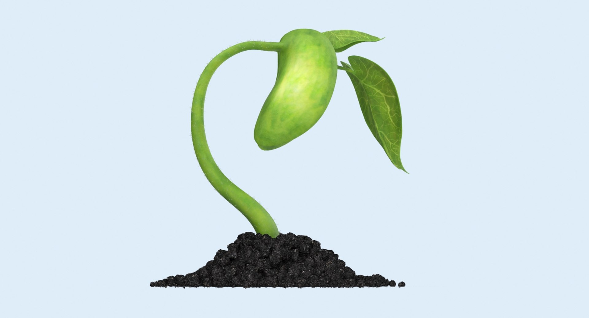 Plant Sprout 3d Model