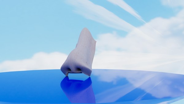 3D Nose Models | TurboSquid