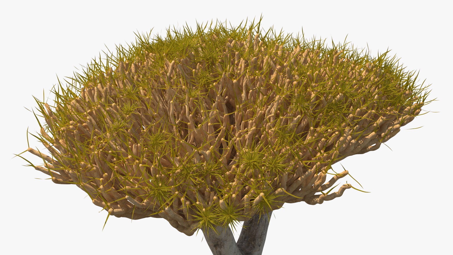 Dragon Tree Roots 3D - TurboSquid 2292865