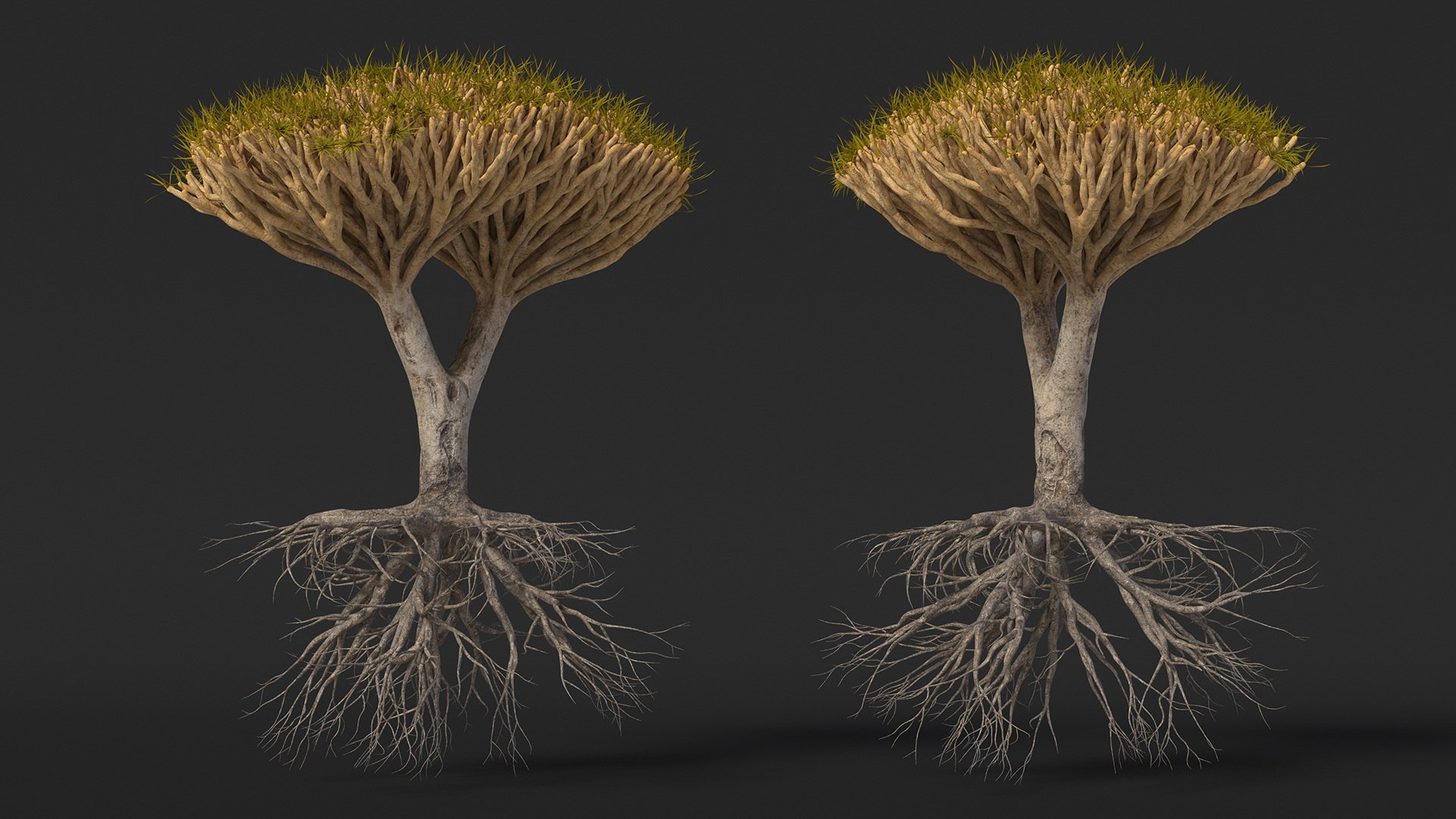 Dragon Tree Roots 3D - TurboSquid 2292865