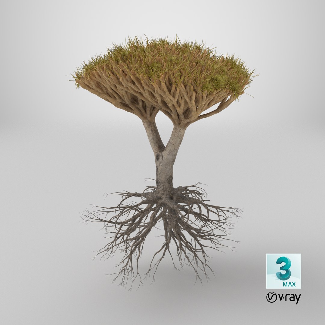 Dragon Tree Roots 3D - TurboSquid 2292865